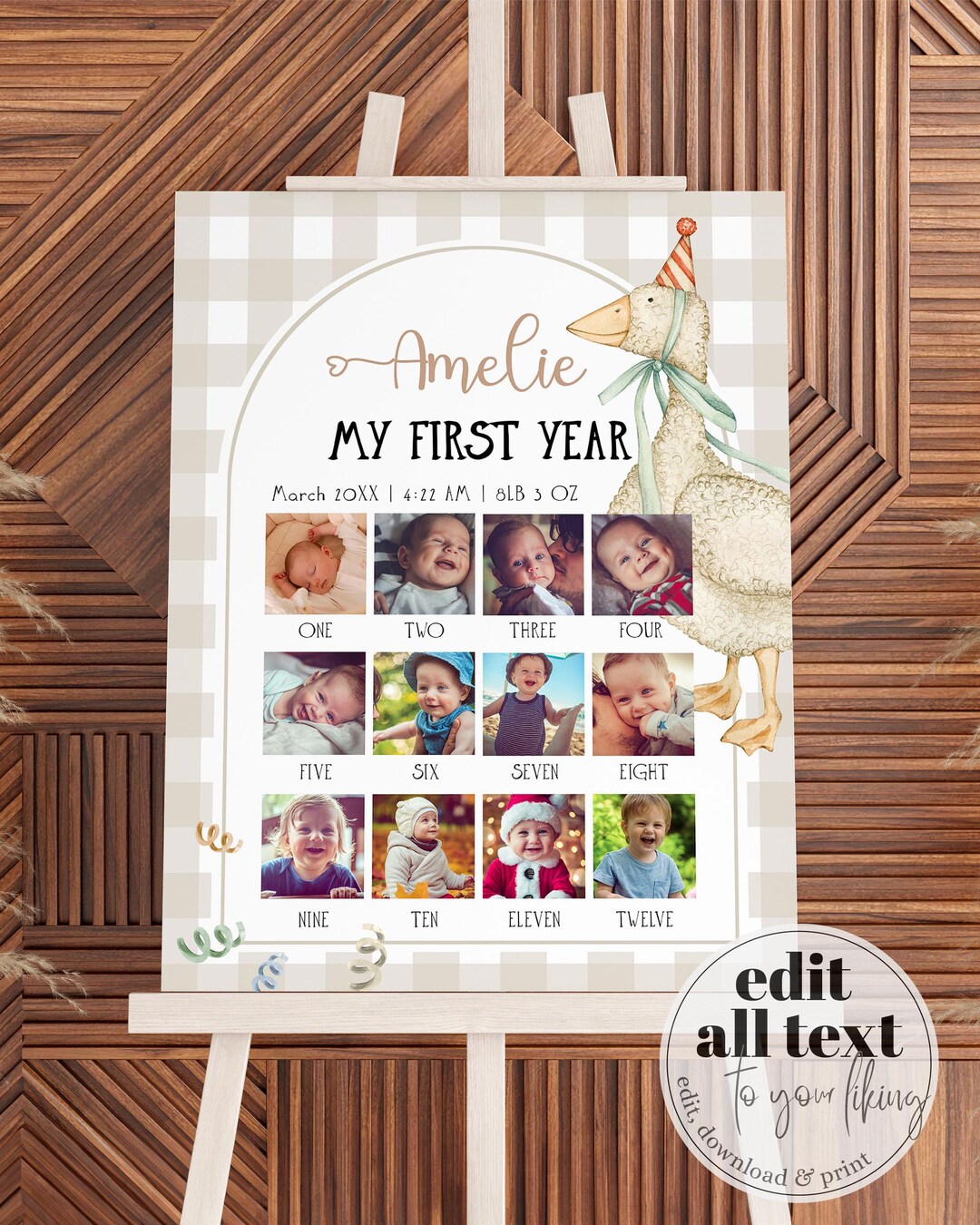 One Silly Goose Baby First Year Monthly Photo Banner Sign, Silly Goose ...