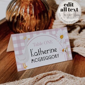 One Silly Goose Place Cards for Girls First Birthday, Pink Gingham ...
