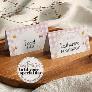 One Silly Goose Place Cards for Girls First Birthday, Pink Gingham ...