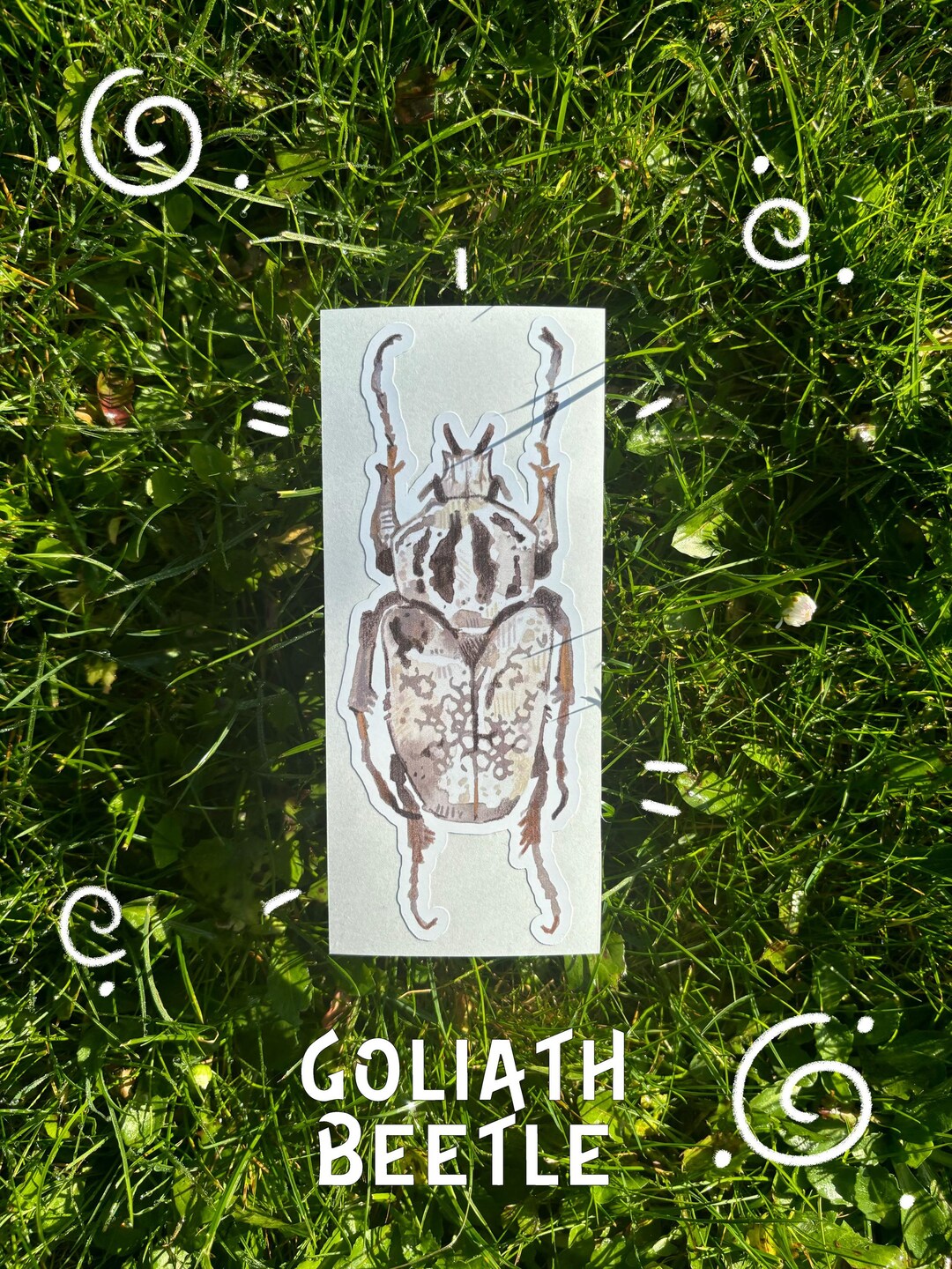 Goliath Beetle Vinyl Sticker Watercolor Bug Illustration Insect Decor ...