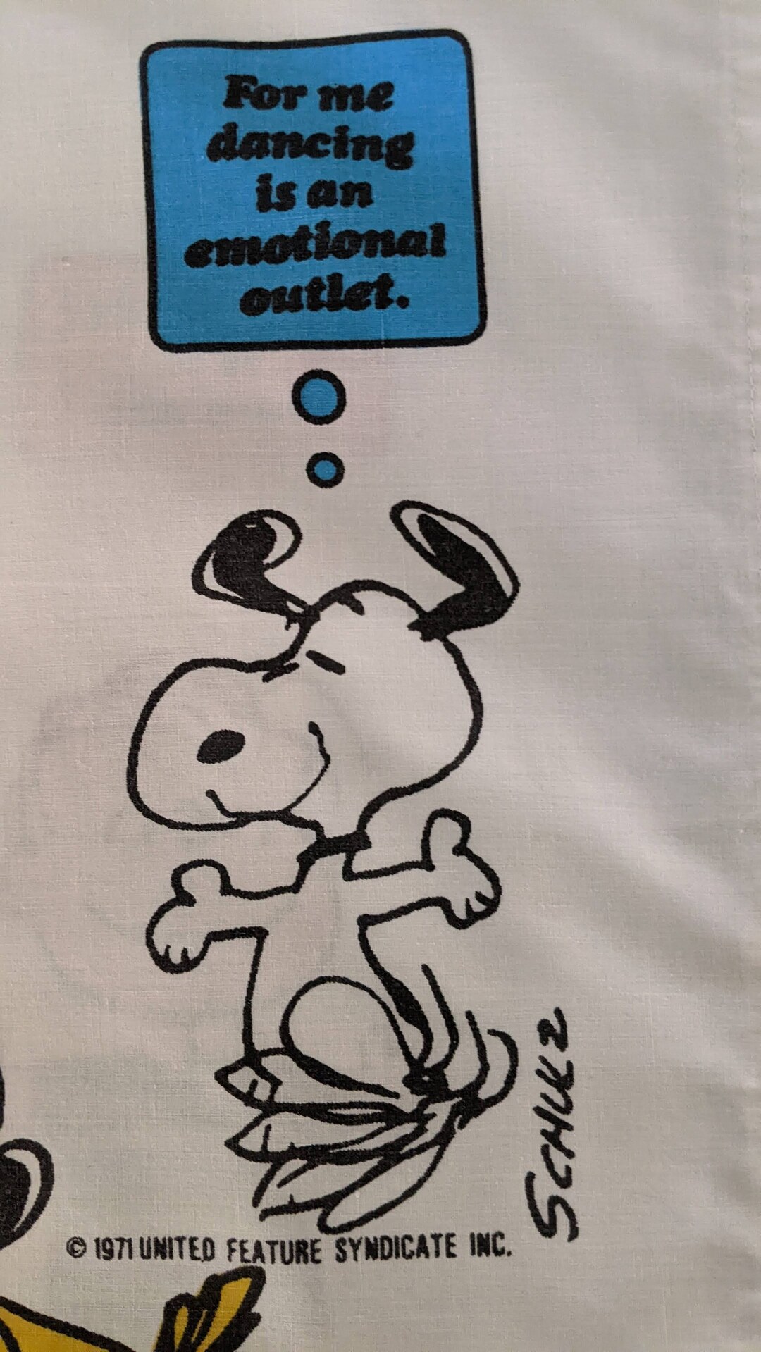Peanuts Charlie Brown Lucy Snoopy Standard Pillowcase by Stevens UTICA ...