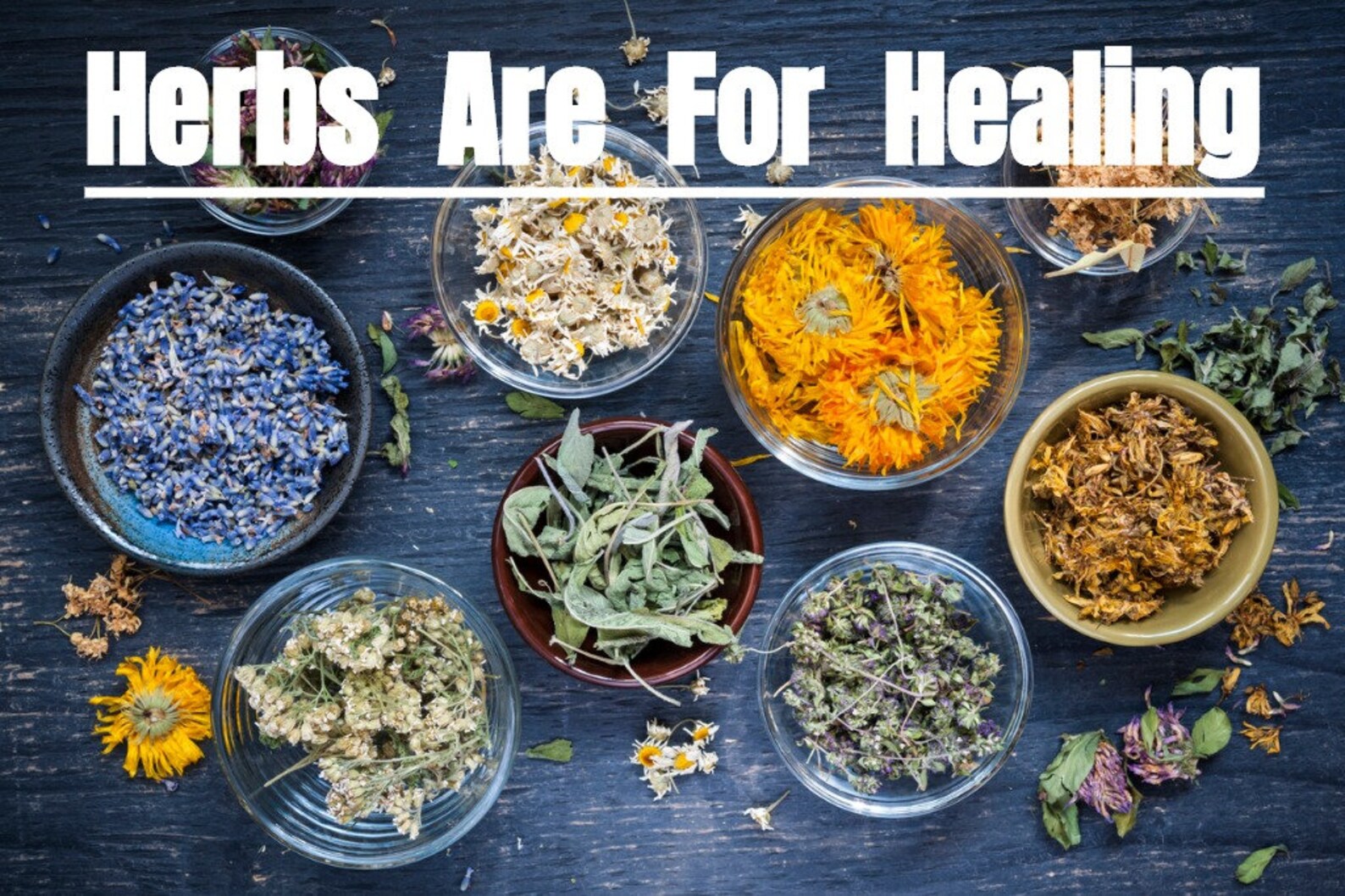 Dr Sebis 21 Best Recommended Herbs By African Etsy