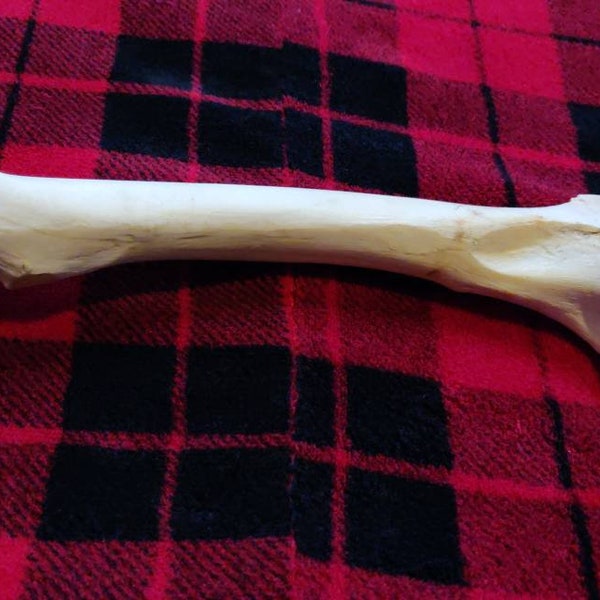 Deer Leg - Etsy