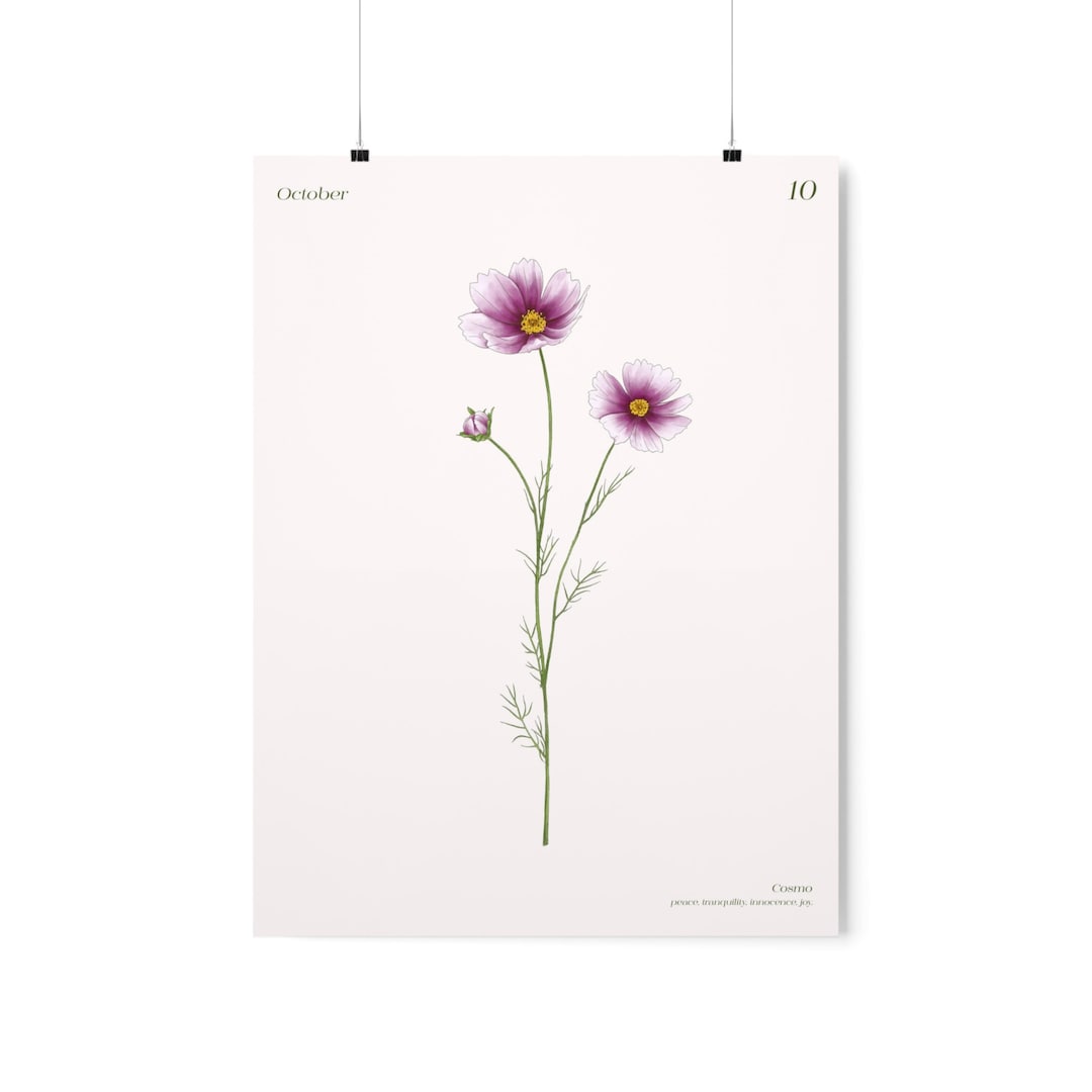 October Birth Month Flower Print, Cosmo Art Print, Boho Flower Art ...
