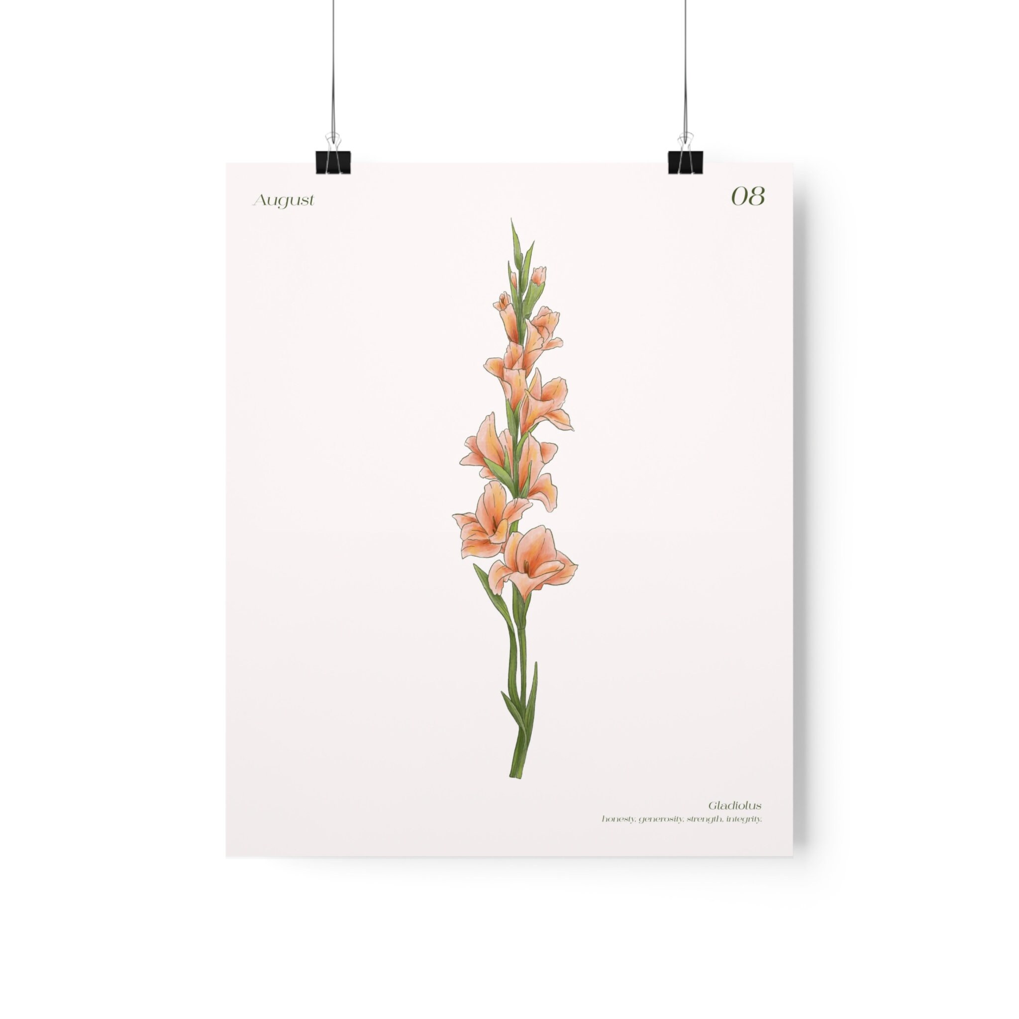 August Birth Month Flower Print, Gladiolus Art Print, Boho Flower Art ...
