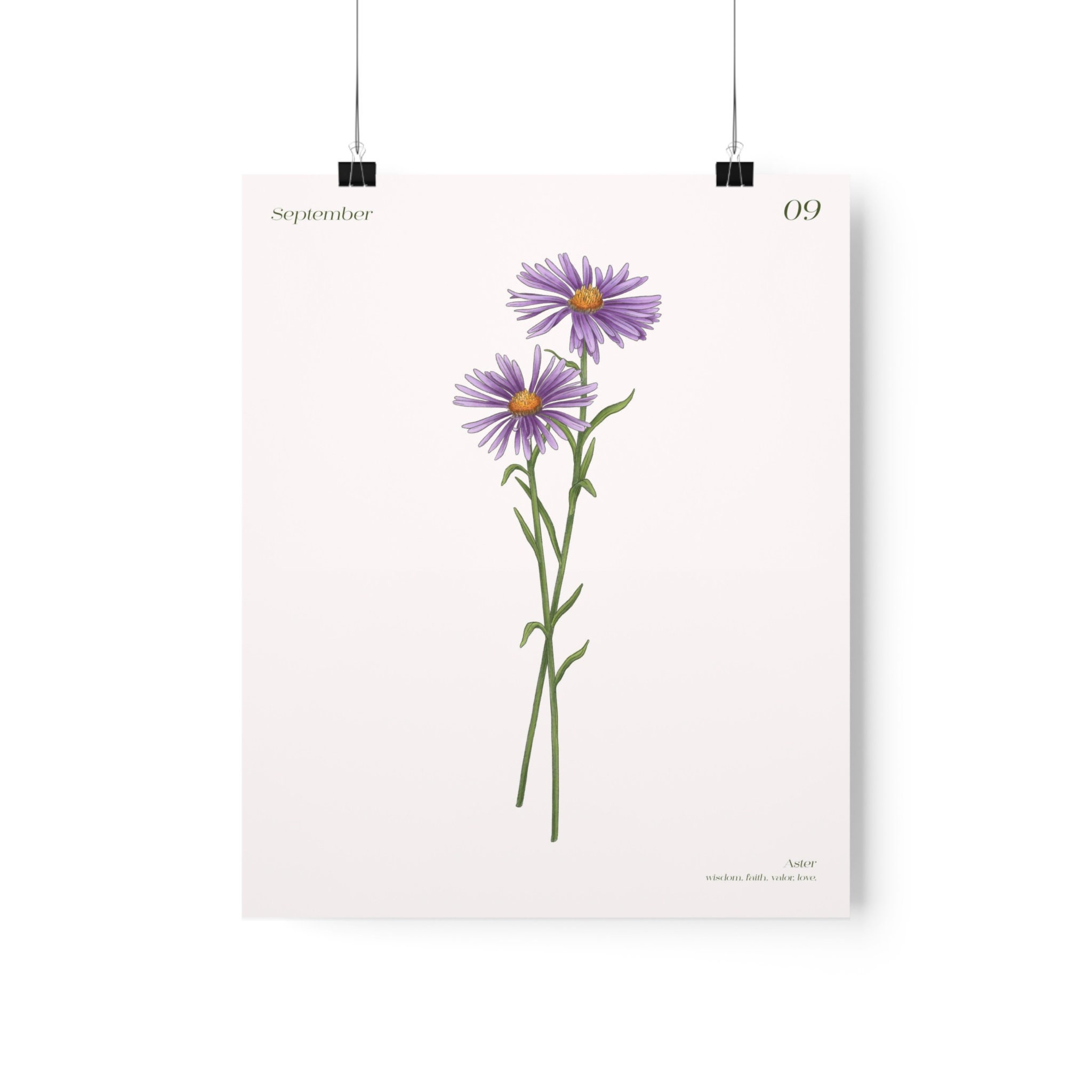 September Birth Month Flower Print, Aster Art Print, Boho Flower Art ...