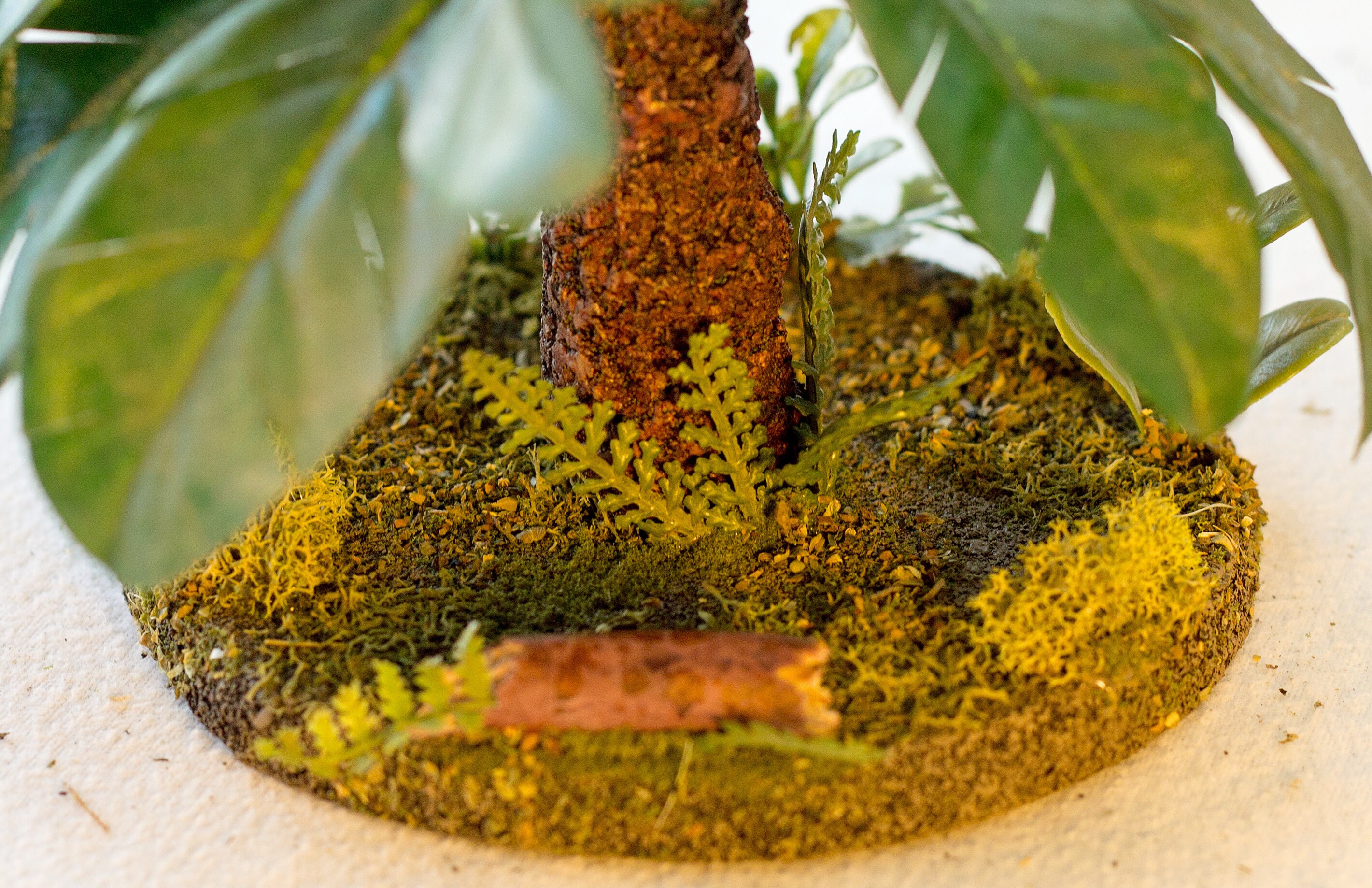 Massive Jungle Grove Jungle Trees for Miniature War Gaming & RPG ...