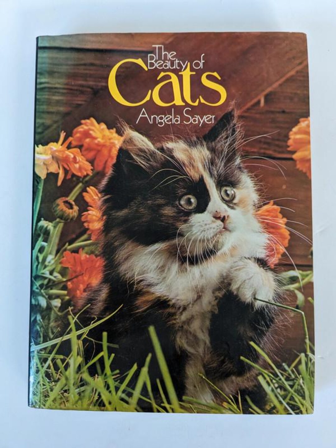 The Beauty of Cats by Angela Sayer 1977 Vintage Harcover Illustrated ...