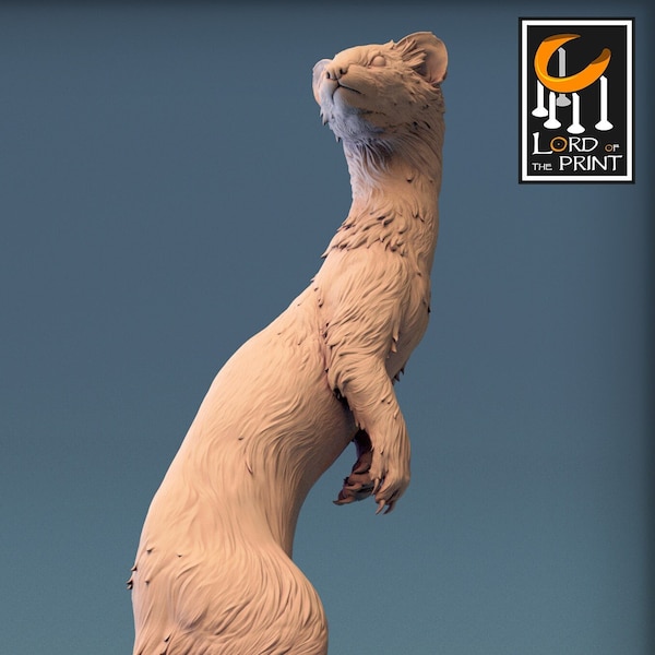 Weasel - Etsy