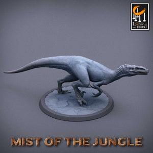Raptor Level 1 V4 Premium Dnd Miniature Mini Fighter Warrior | Resin 3D ...