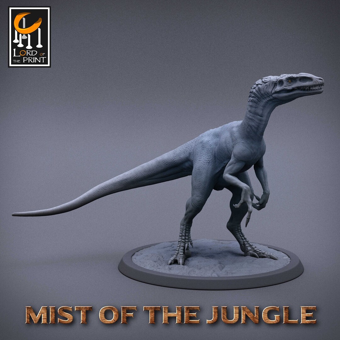 Raptor Level 1 V2 Premium Dnd Miniature Mini Fighter Warrior | Resin 3D ...
