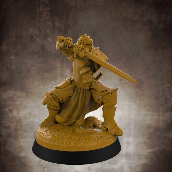 Paladin Knight V1 Premium 3D Printed Tabletop Miniatures | Etsy