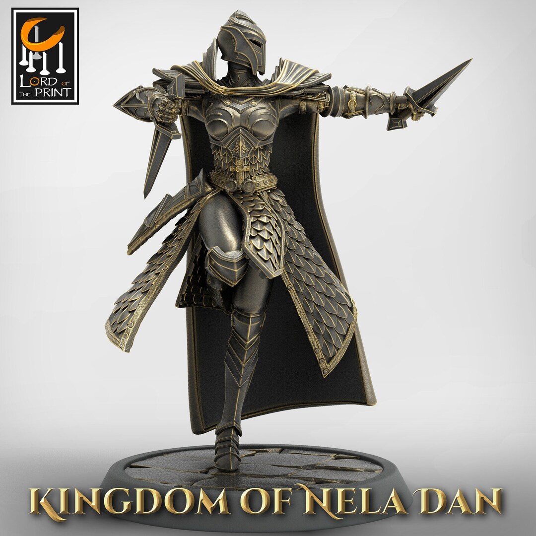 Female Elf Paladin Knight V9 Premium Dnd Miniature Mini Fighter Warrior ...