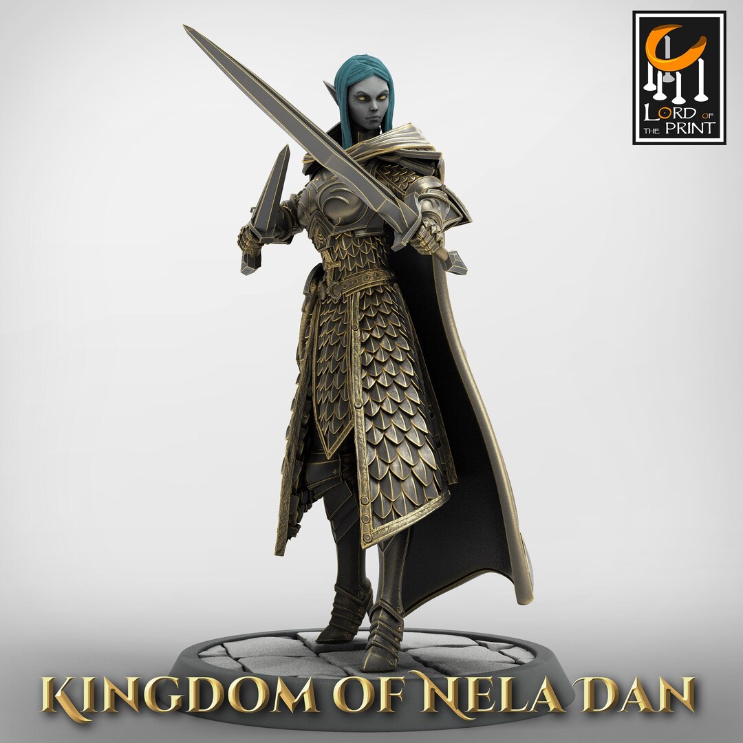 Female Elf Paladin Knight V24 Premium Dnd Miniature Mini Fighter ...