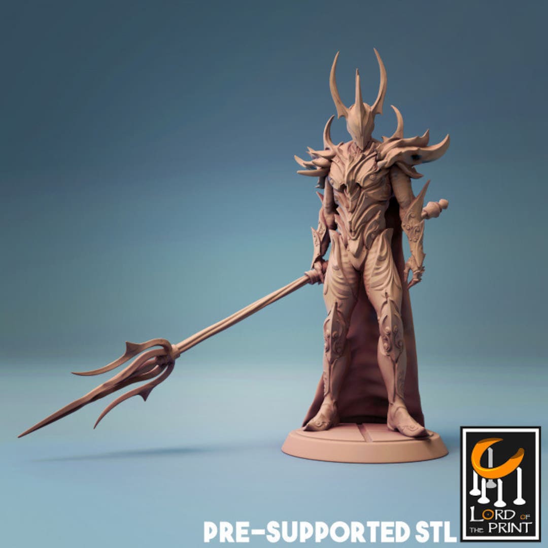 Celestial Warlock Premium Dnd Miniature Mini | Paladin | Resin 3D ...