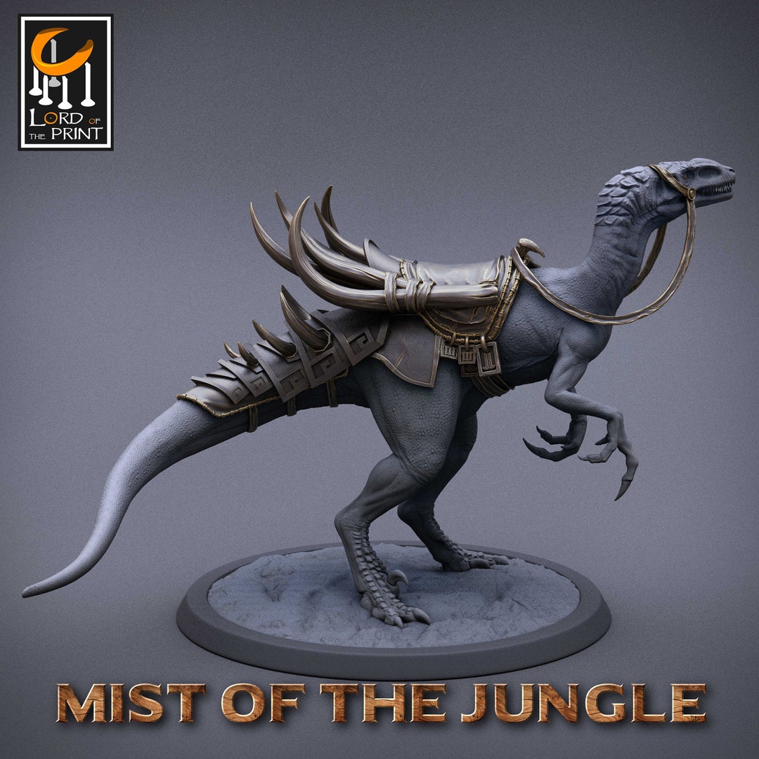 Raptor Level 2 V2 Premium Dnd Miniature Mini Fighter Warrior | Resin 3D ...