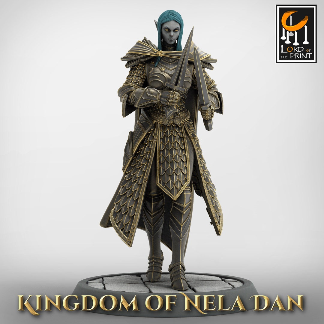 Female Elf Paladin Knight V10 Premium Dnd Miniature Mini Fighter ...