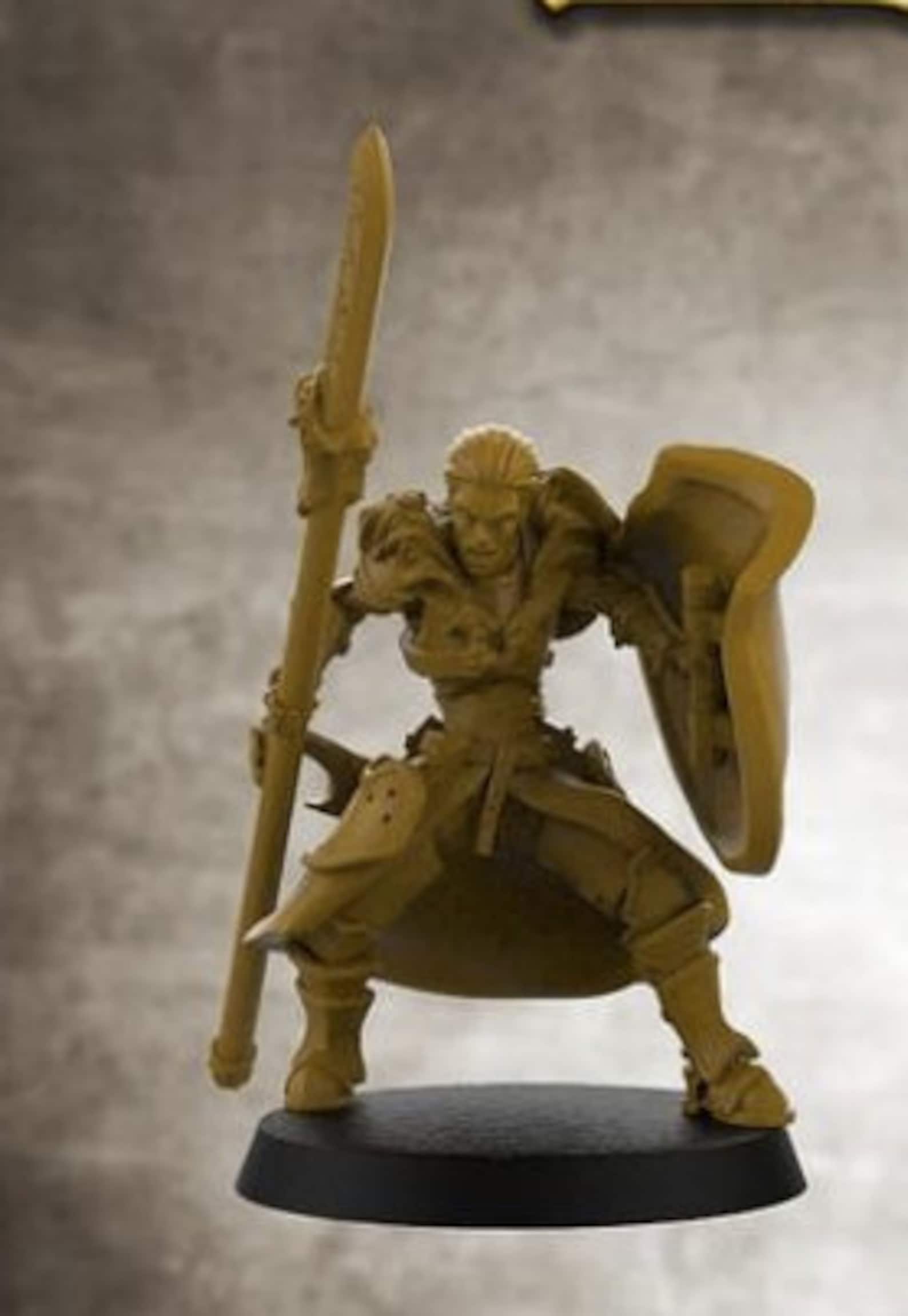 Paladin Knight V6 Premium 3D Printed Tabletop Miniatures - Etsy