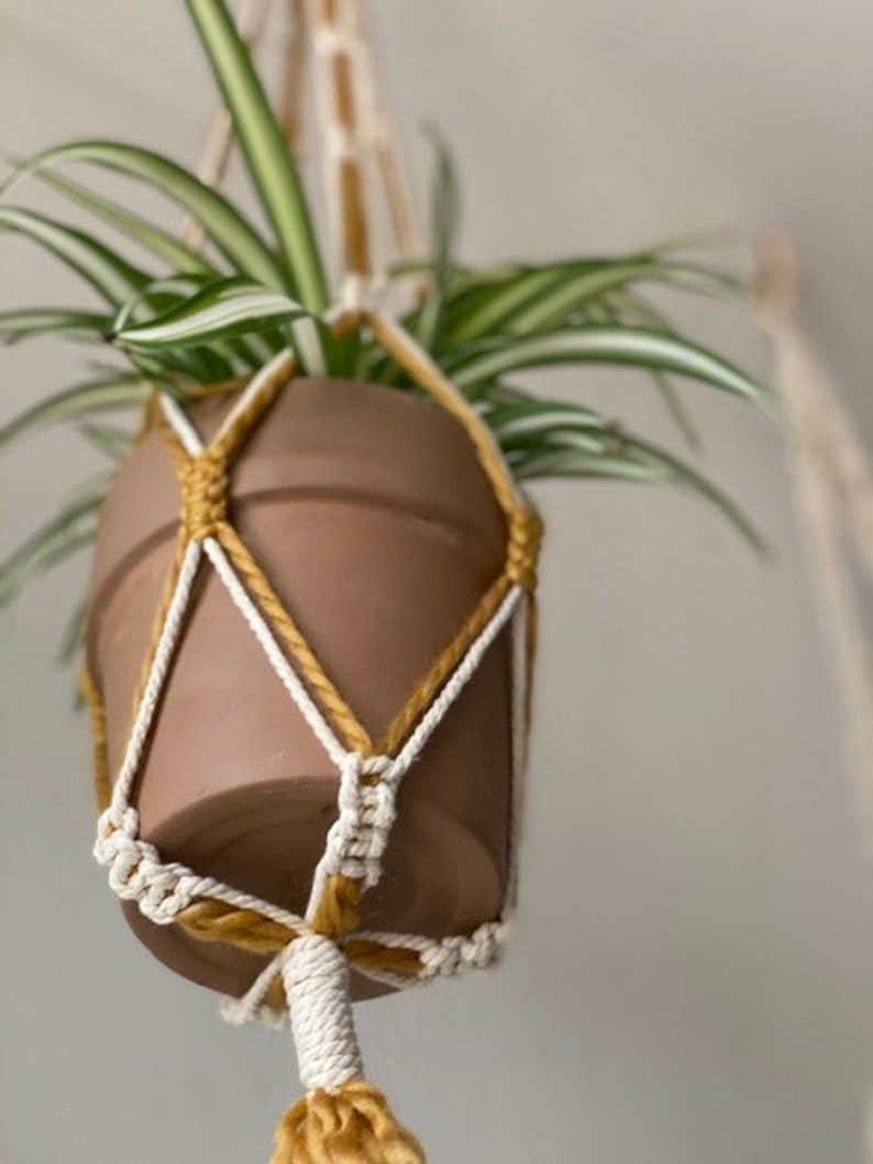 Colorful Macrame Plant Holder - Etsy