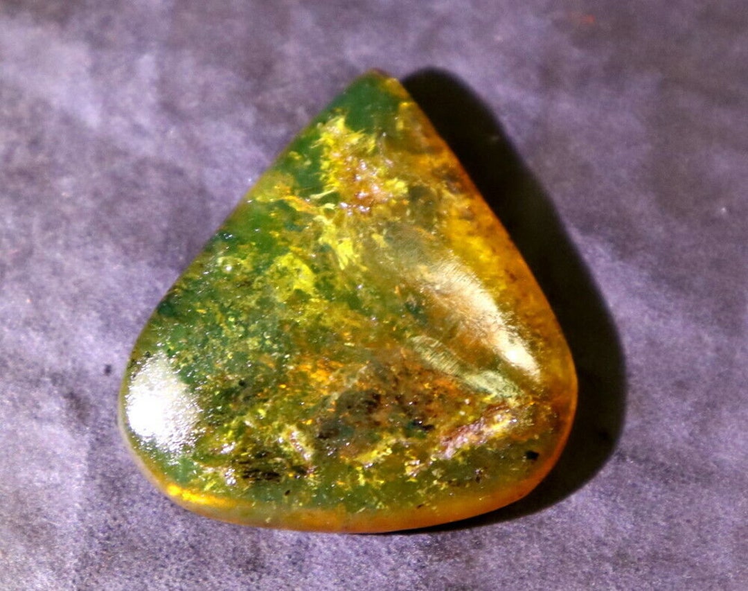 Authentic Green Dominican Amber Inclusion Cabochon 24mm 9.5 Carat - Etsy