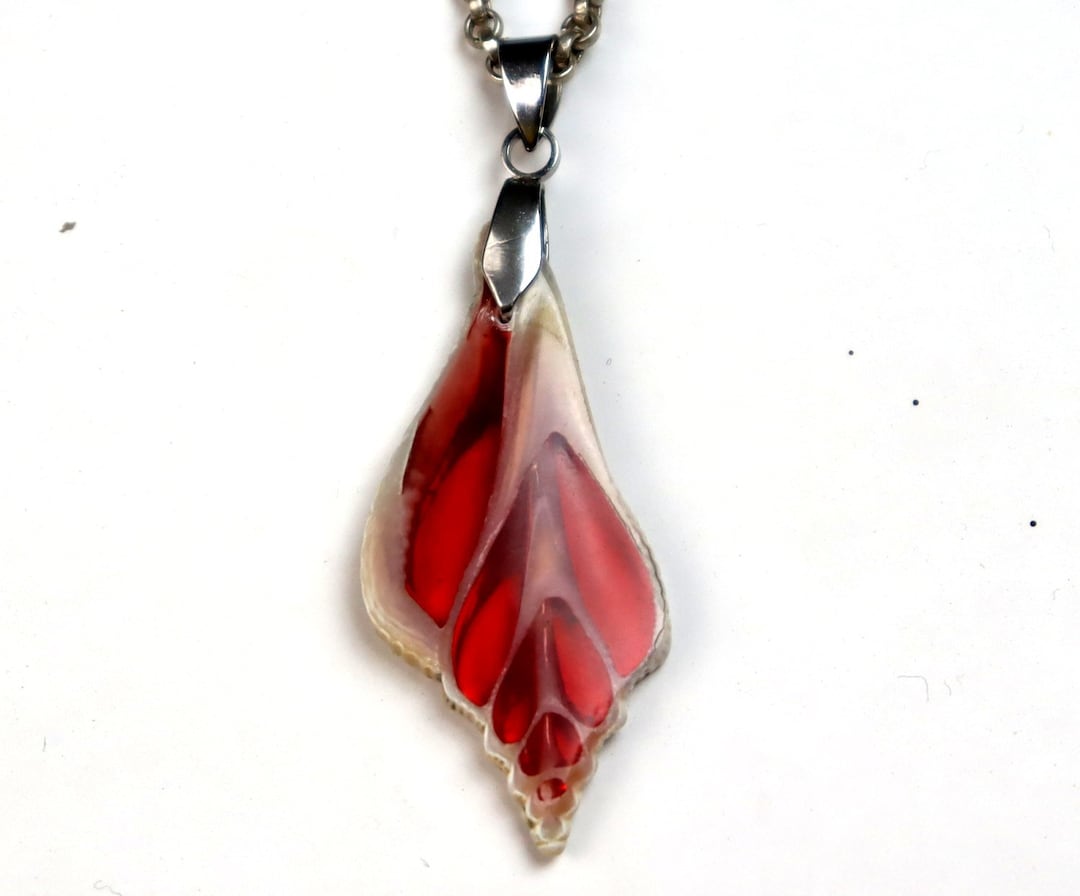 Impressive Natural Caribbean Clear Deep Red Sea Shell Slice Pendant ...