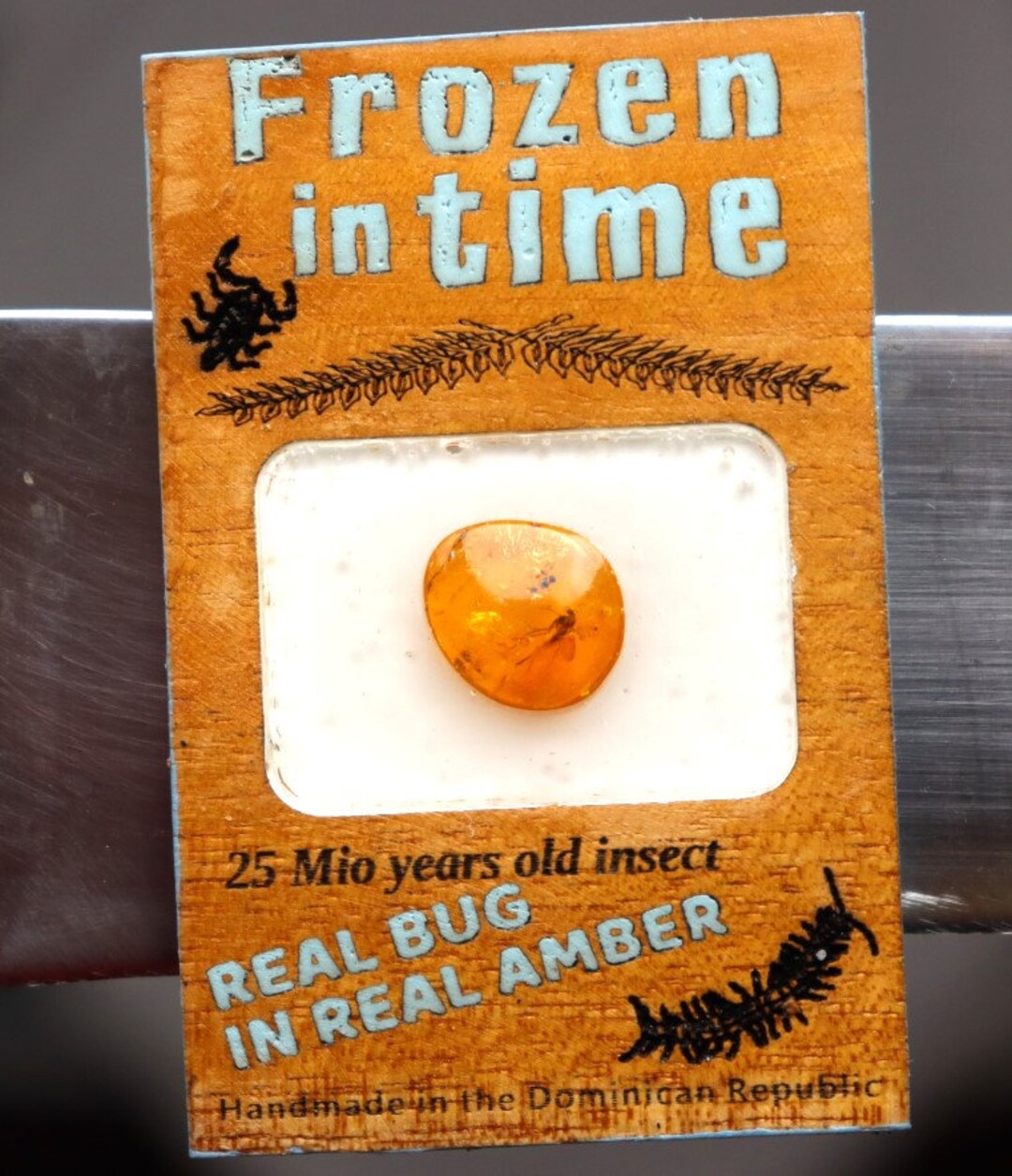 Handmade Mahogany Amber Fridge Magnet With Real Insect Mosquito 3x2 ...