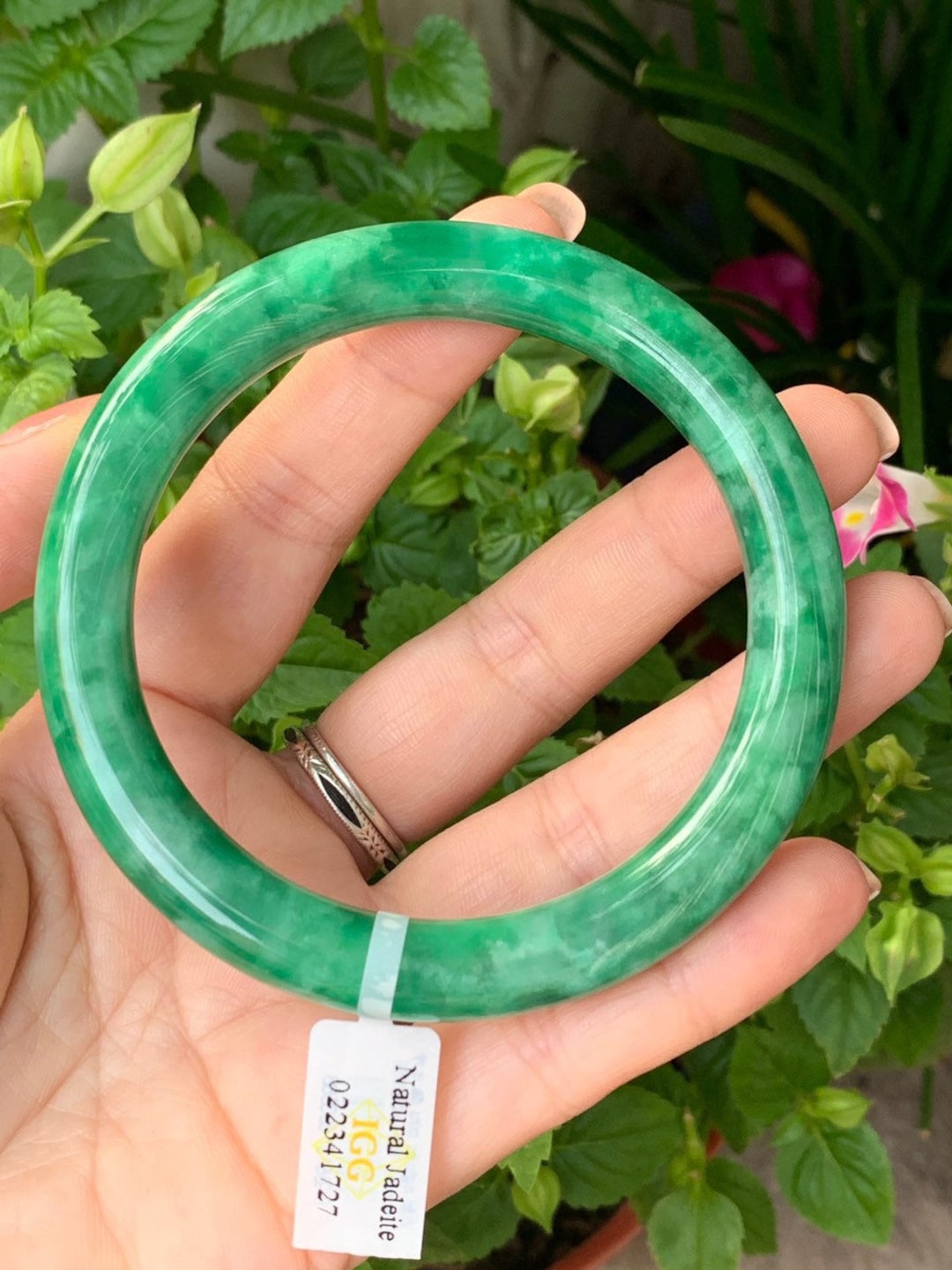 Jade Light Green Color Bangle Bracelet Jade Bangle inner - Etsy