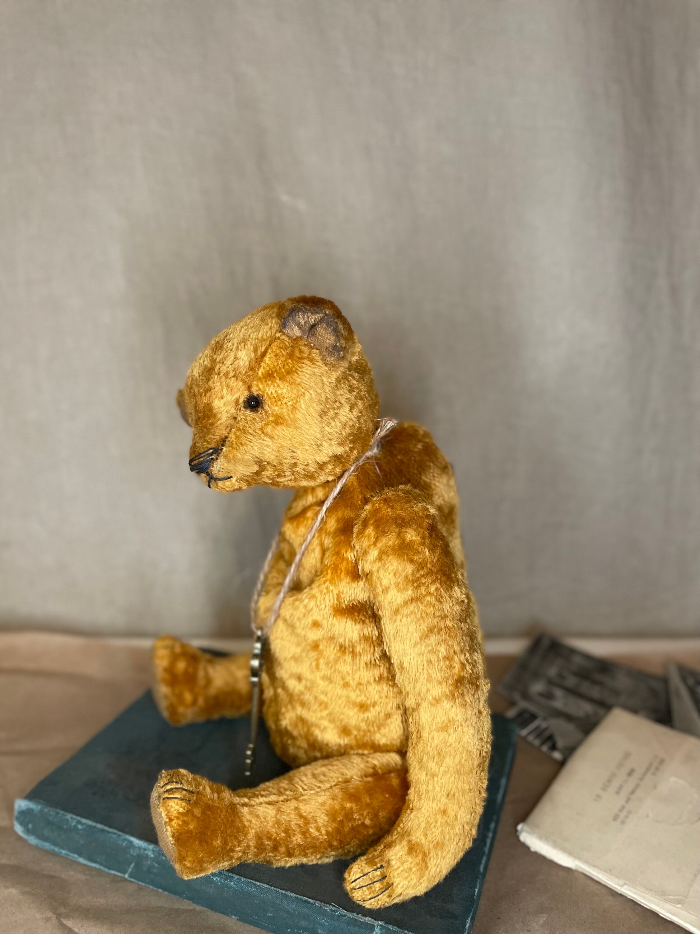 Old Teddy Bear