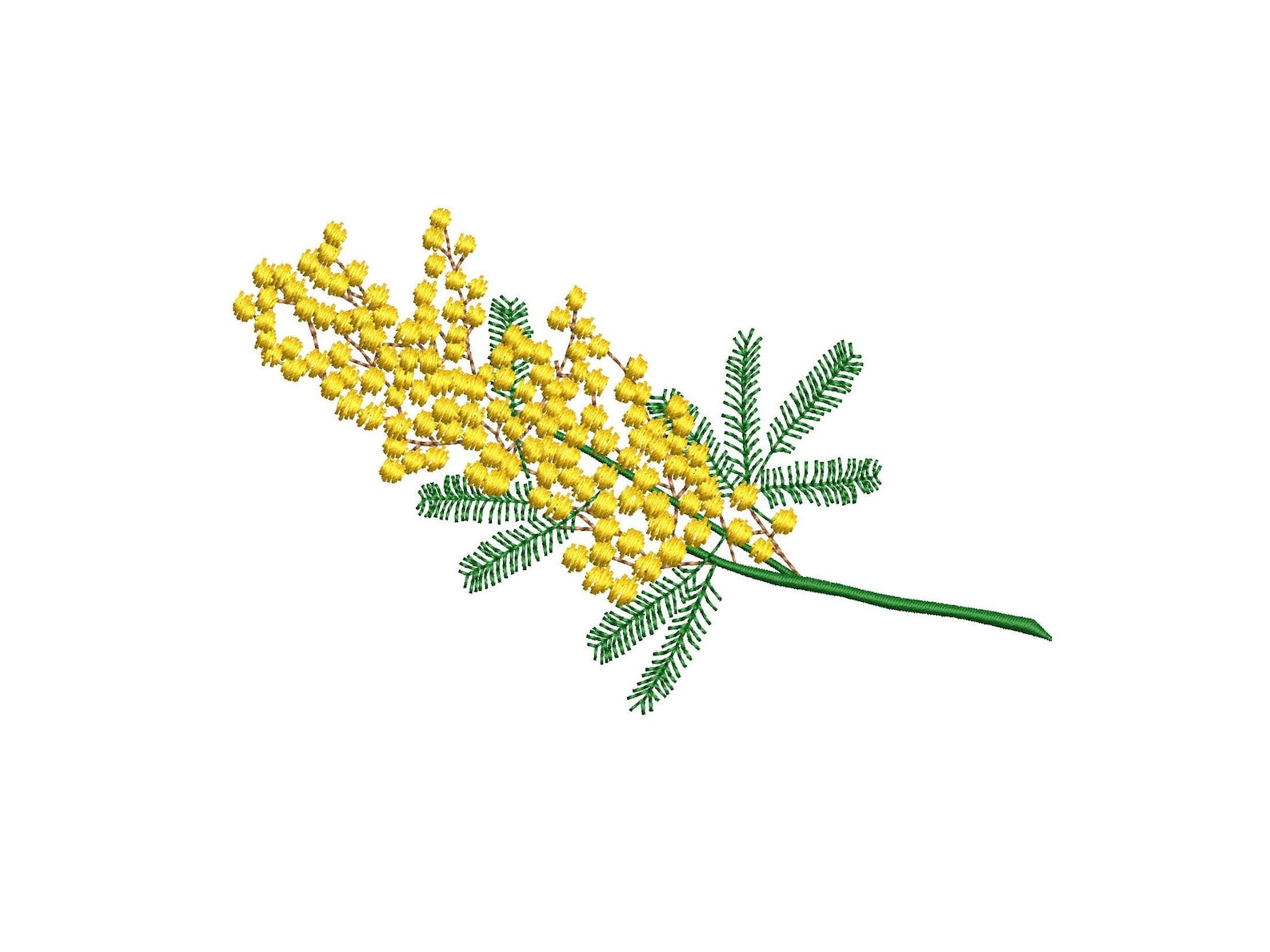 2 Sizes mimosa Embroidery Design | Etsy