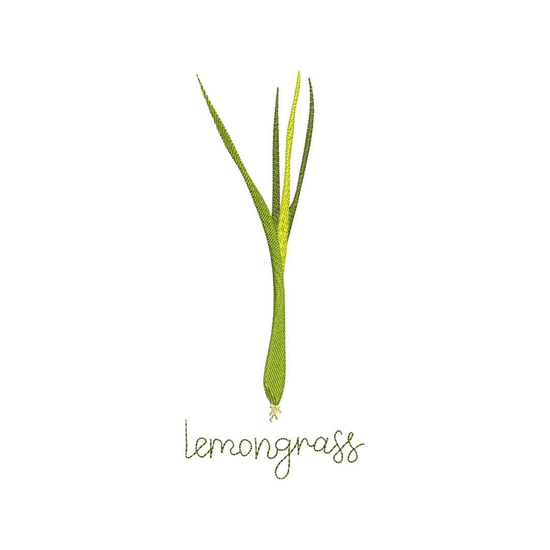 3 Sizes "lemongrass" Machine Embroidery Design - Etsy