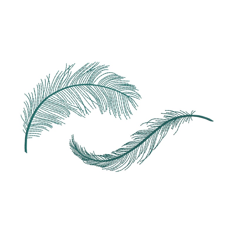 Feather Design - Etsy