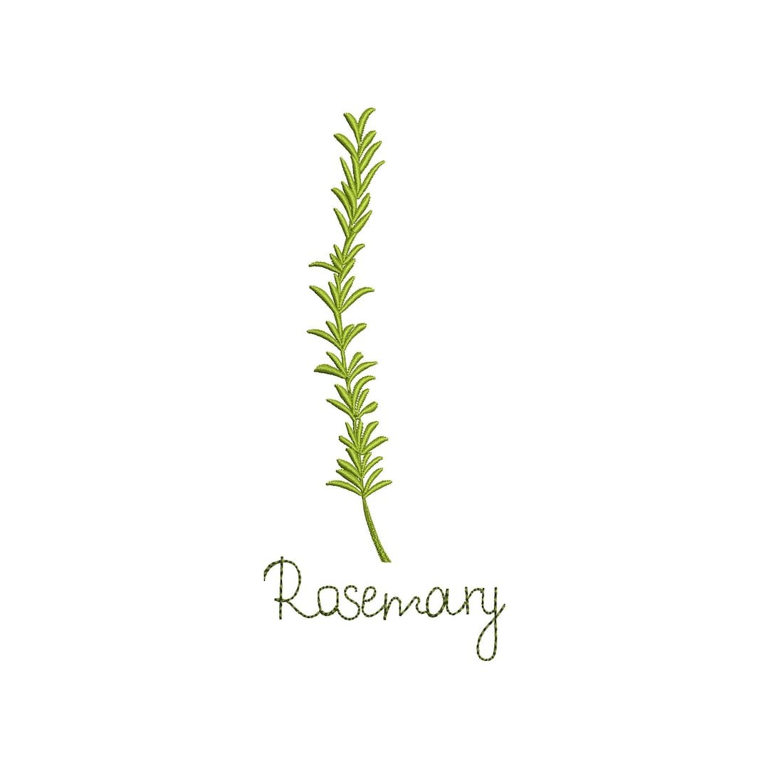 3 Sizes "rosemary" Machine Embroidery Design - Etsy
