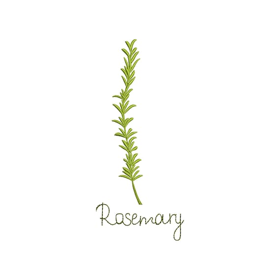 3 Sizes rosemary Machine Embroidery Design - Etsy