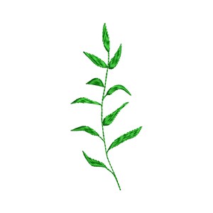 5 Sizes "botanical Designs" Machine Embroidery Design - Etsy