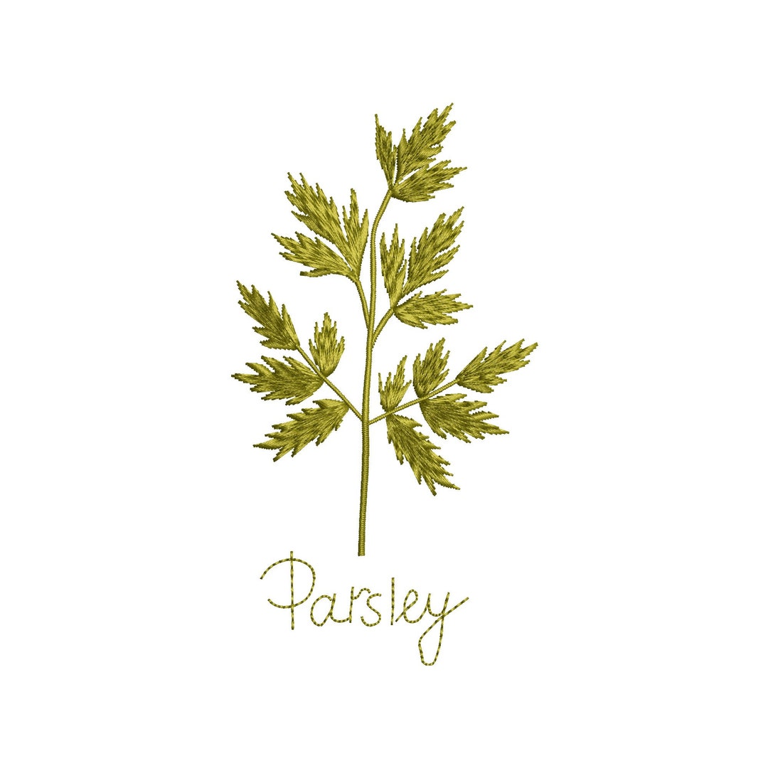 3 Sizes "parsley" Machine Embroidery Design - Etsy
