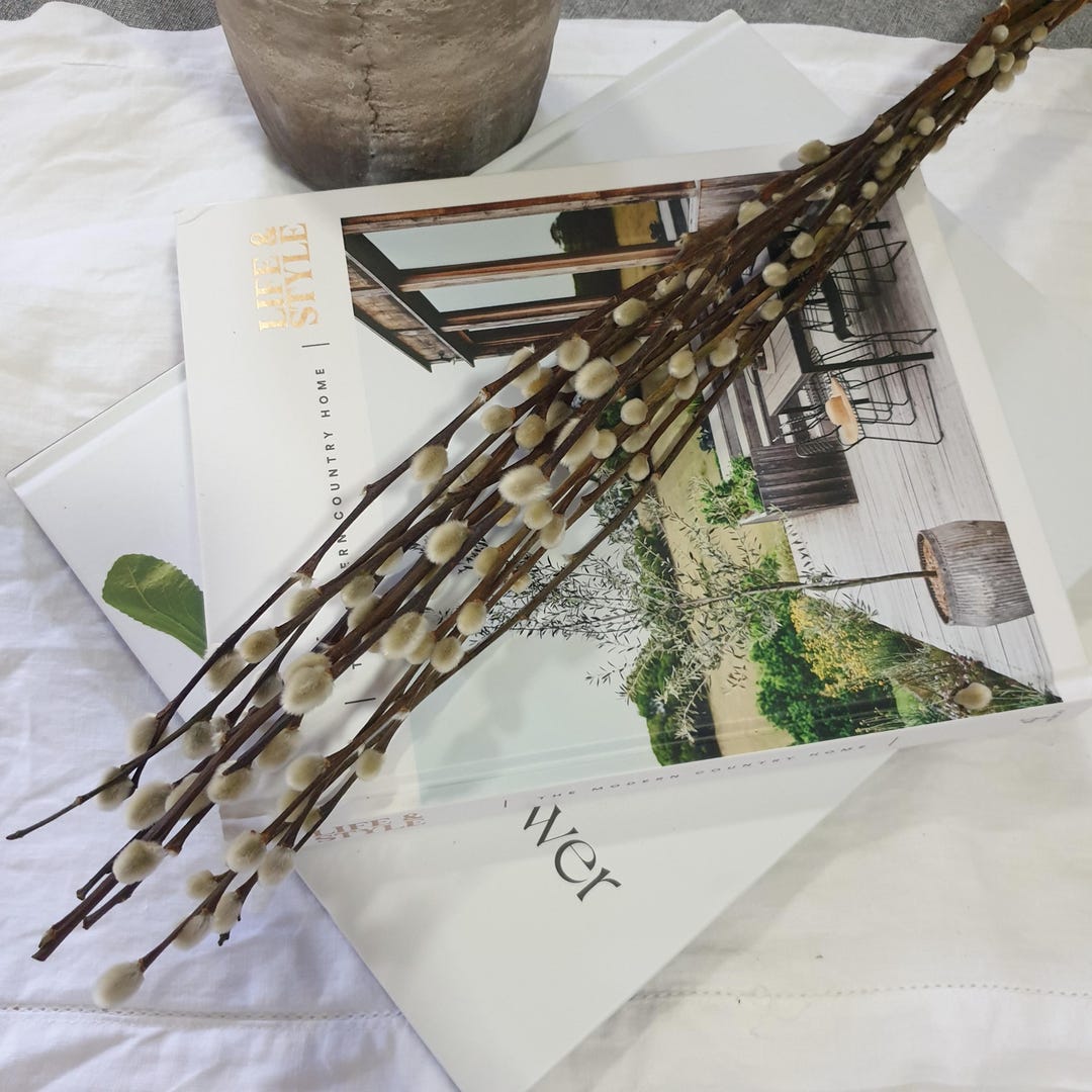 Blossom Sticks | White - Etsy