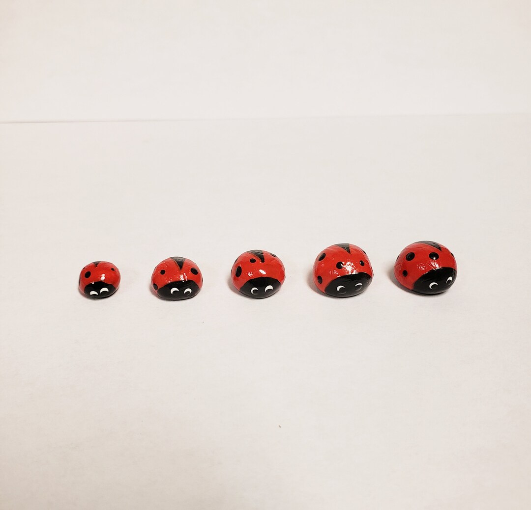 Miniature Ladybugs SET OF 5. Tiny Ladybugs. Fairy Bugs. Fairy Ladybugs ...