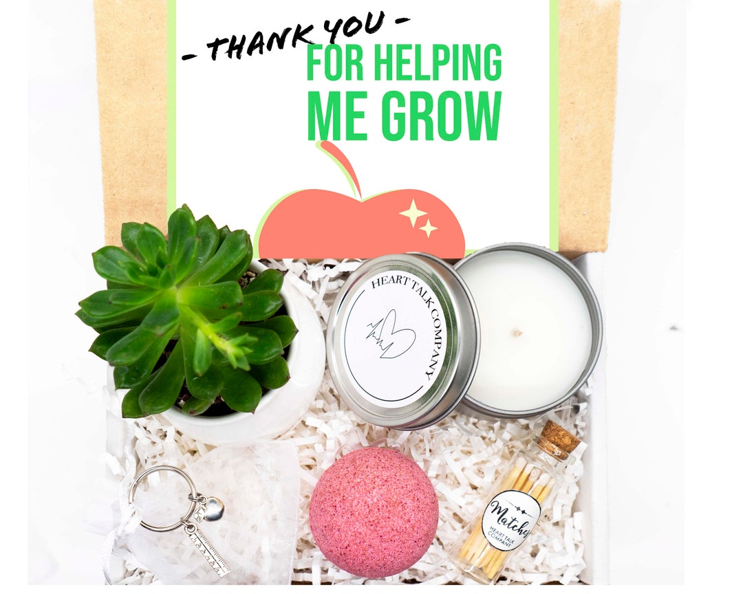 CARE PACKAGE. Gift Box. TEACHER Gift. Live Succulent. - Etsy