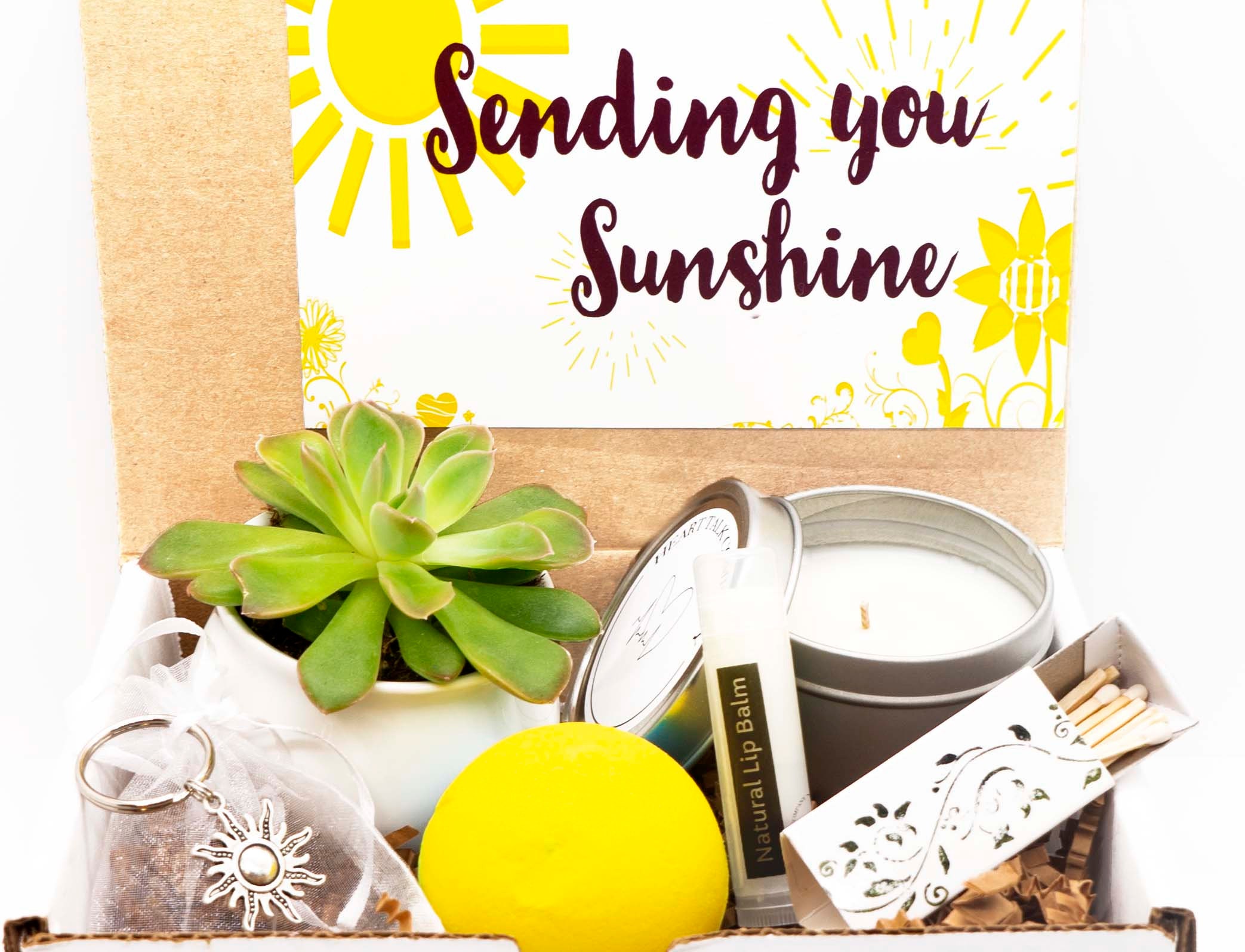 SENDING YOU SUNSHINE. Gift Box. Succulent Gift. Care Package. - Etsy