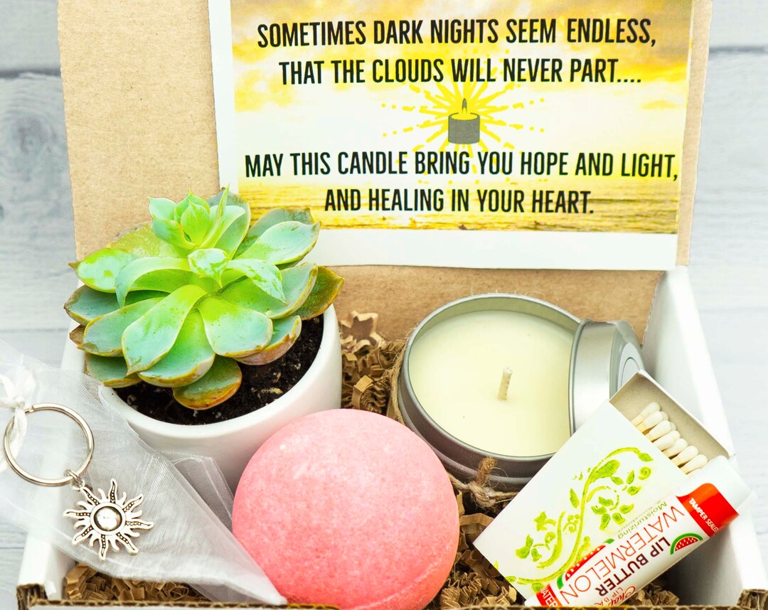 HEALING GIFT. Hard Times Care Package. Live Succulent.succulent Gift ...
