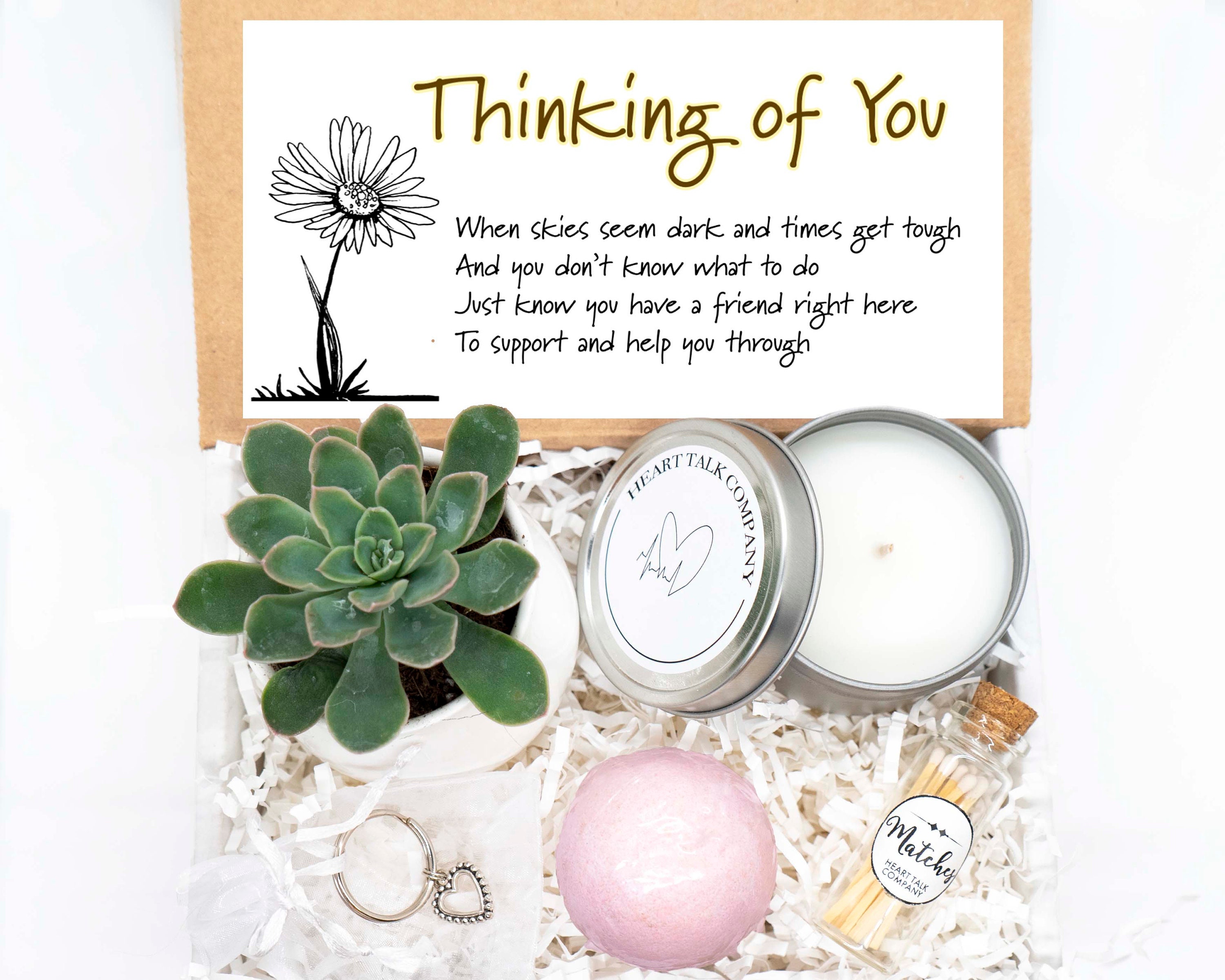 THINKING OF YOU. Gift Box. Succulent Gift. Live Succulent. - Etsy