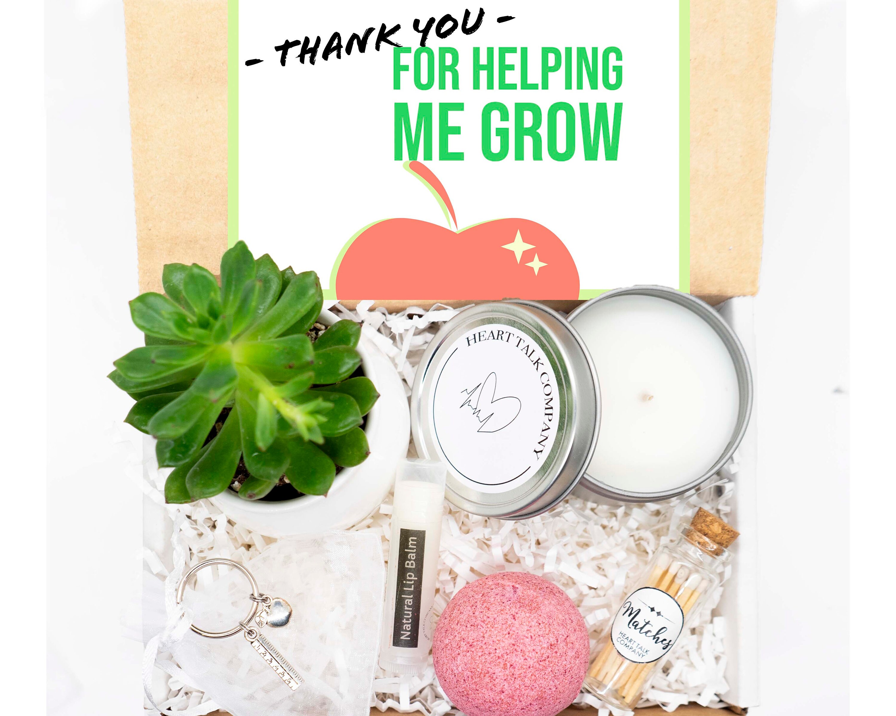 CARE PACKAGE. Gift Box. TEACHER Gift. Live Succulent. - Etsy