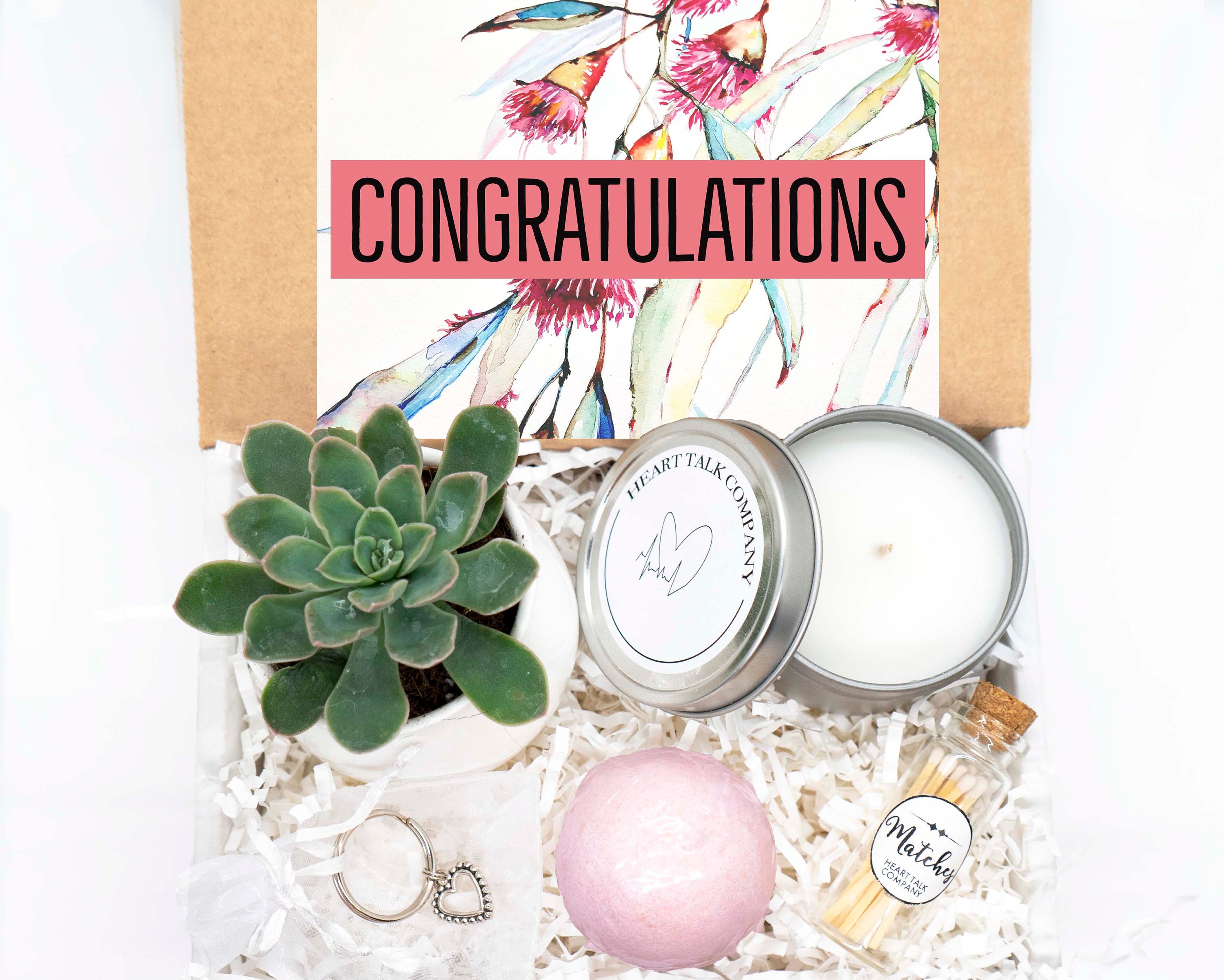 CONGRATULATIONS GIFT BOX. Gift Box. Live Succulent. Succulent - Etsy