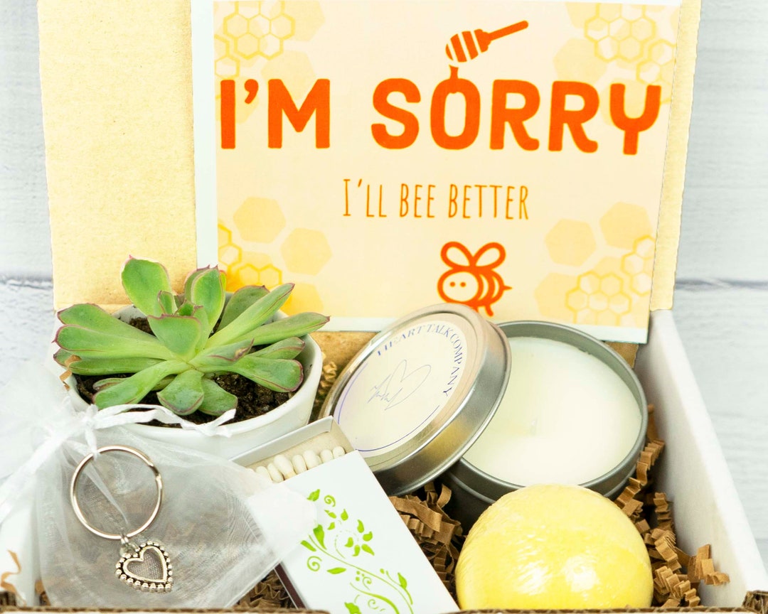 I'M SORRY. I'll Be Better. Sorry Gift. Forgive Me. Succulent Gift Box ...