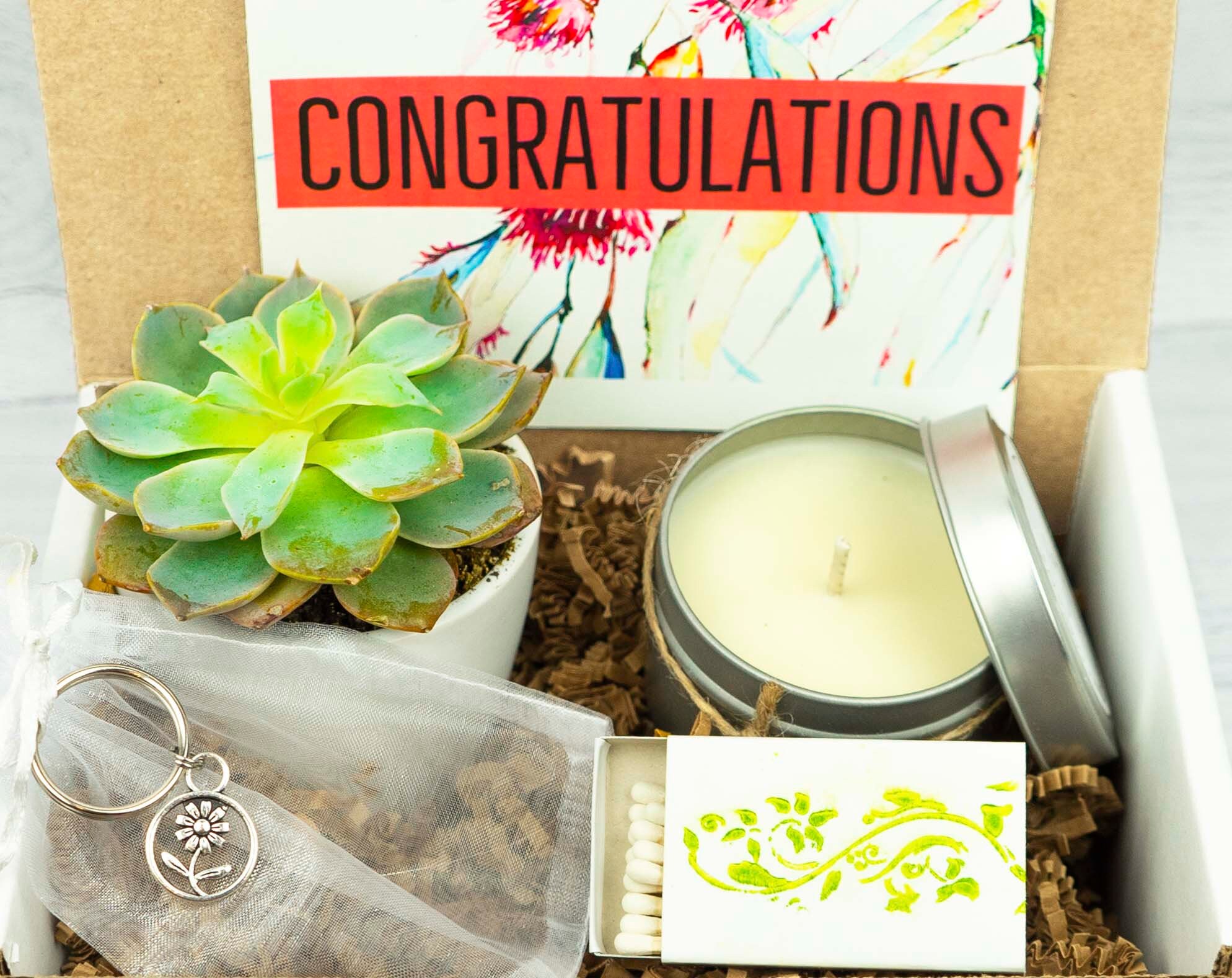 CONGRATULATIONS GIFT BOX. Gift Box. Live Succulent. Succulent | Etsy