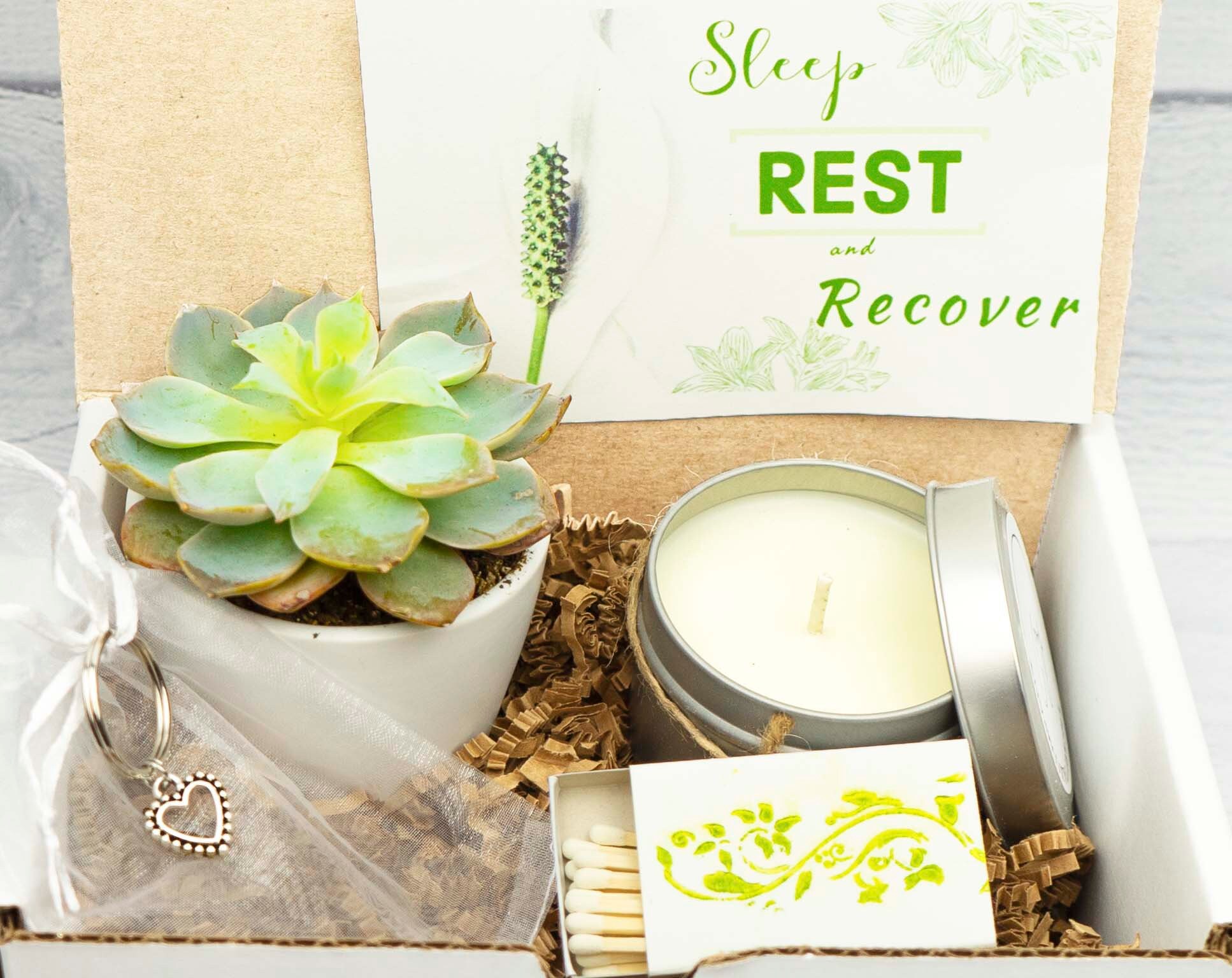 GET WELL BOX. Gift Box.live Succulent. Succulent Gift Box. | Etsy