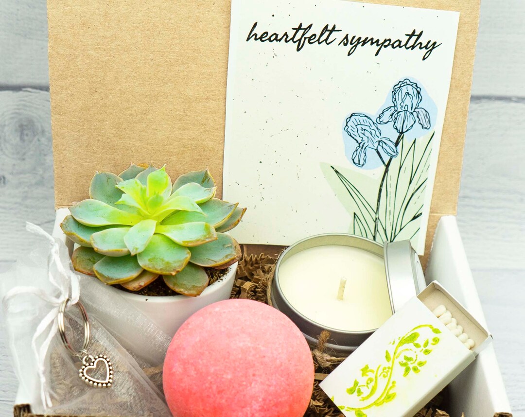 SYMPATHY GIFT BOX. Care Package. Gift Box. Live Succulent. Succulent ...