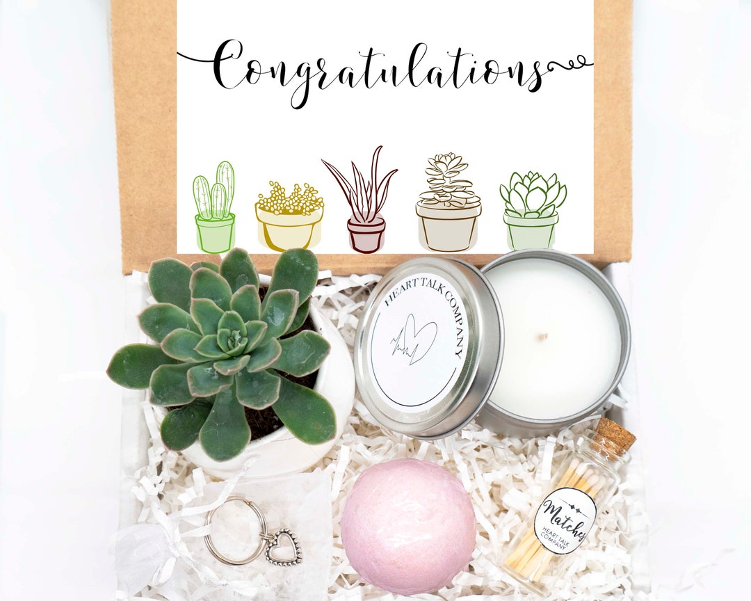 CONGRATULATIONS GIFT BOX. Gift Box. Live Succulent. Succulent Gift Box ...
