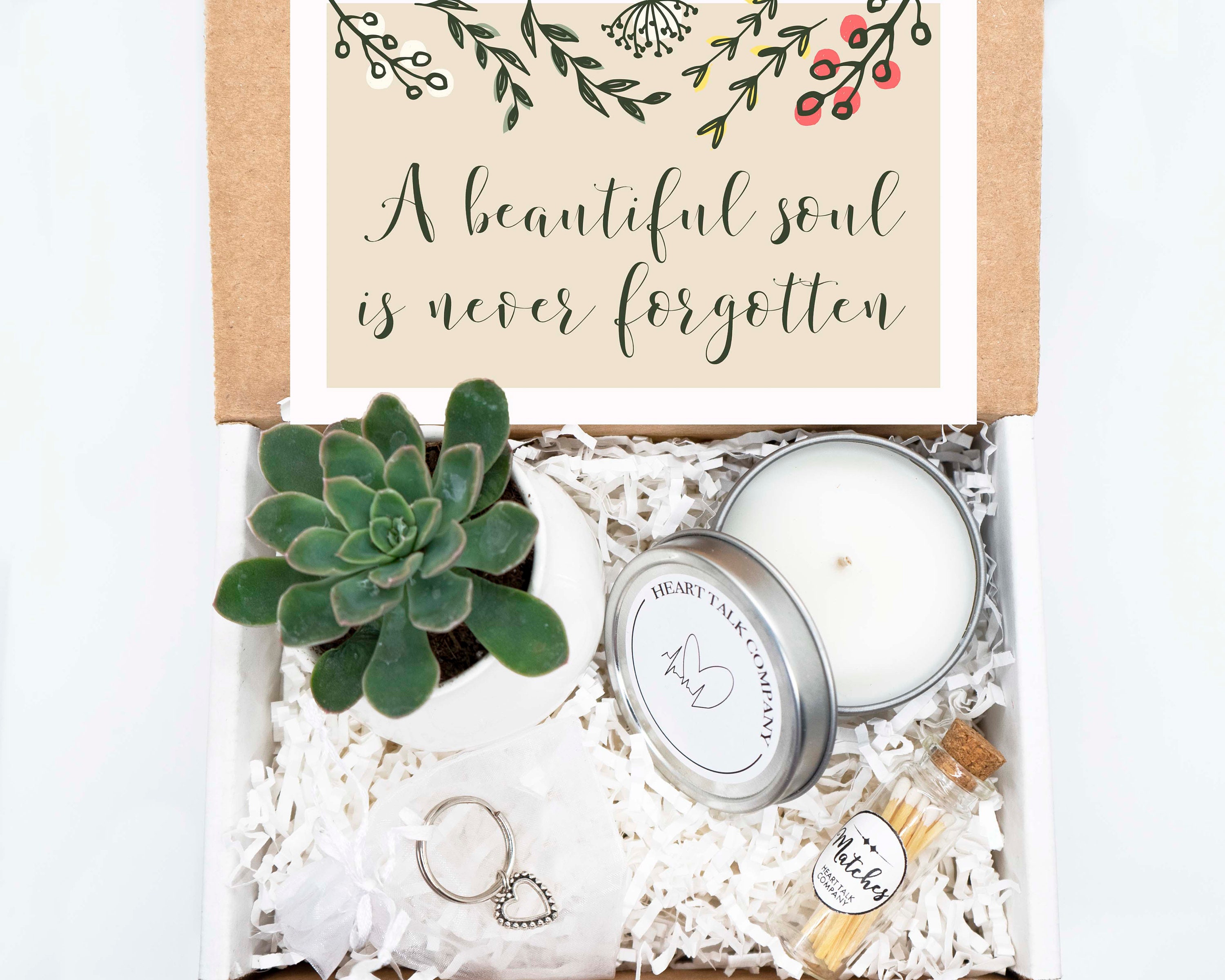 NEVER FORGOTTEN. Gift Box.live Succulent. Succulent Gift Box. - Etsy