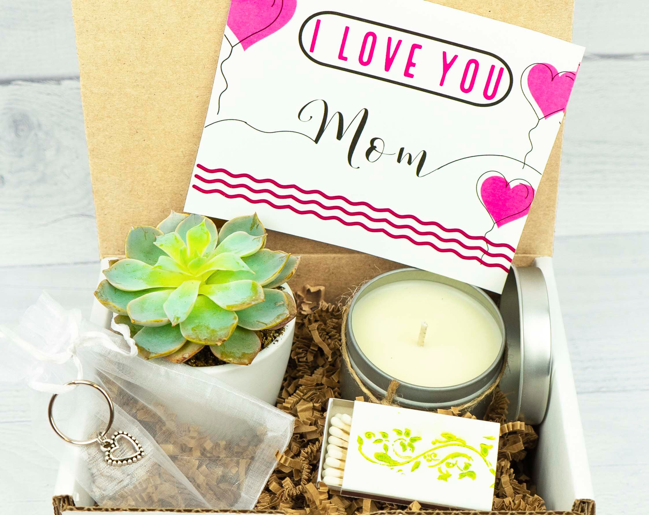 MOTHER'S DAY GIFT. Live Succulent. Succulent Gift Box. | Etsy